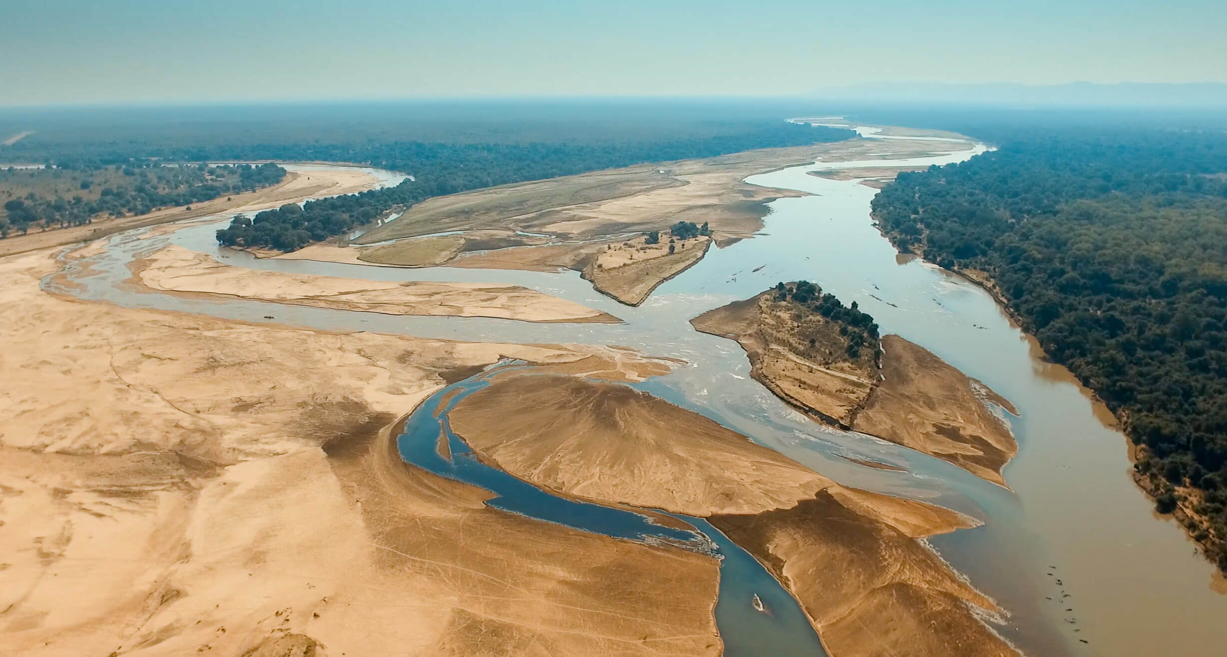 Weltberühmter Geheimtipp: das Luangwa Valley ⎹ Safari Insider